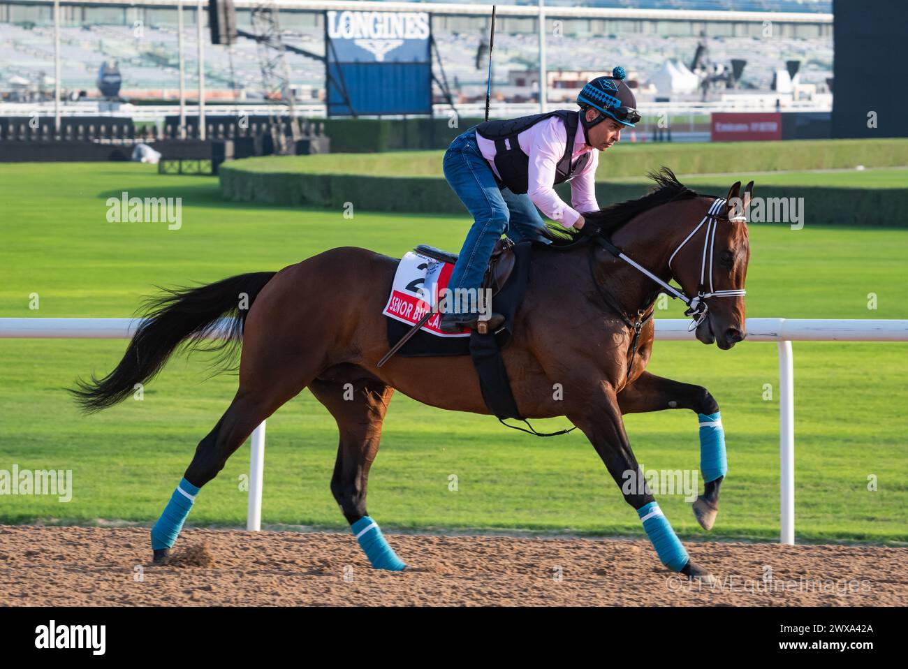 Todd fincher hi-res stock photography and images - Alamy