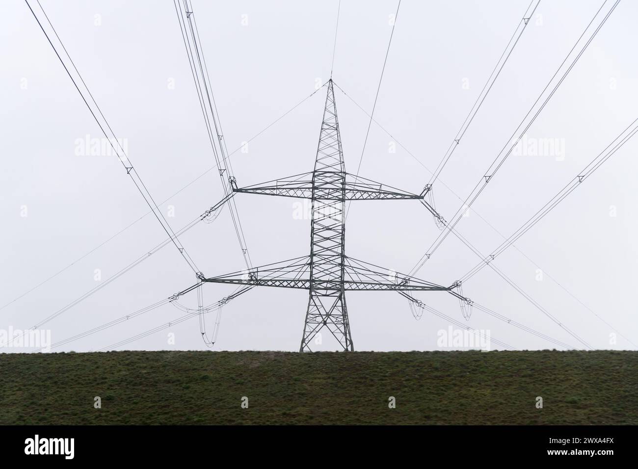High voltage power lines in Germany © Wojciech Strozyk / Alamy Stock ...