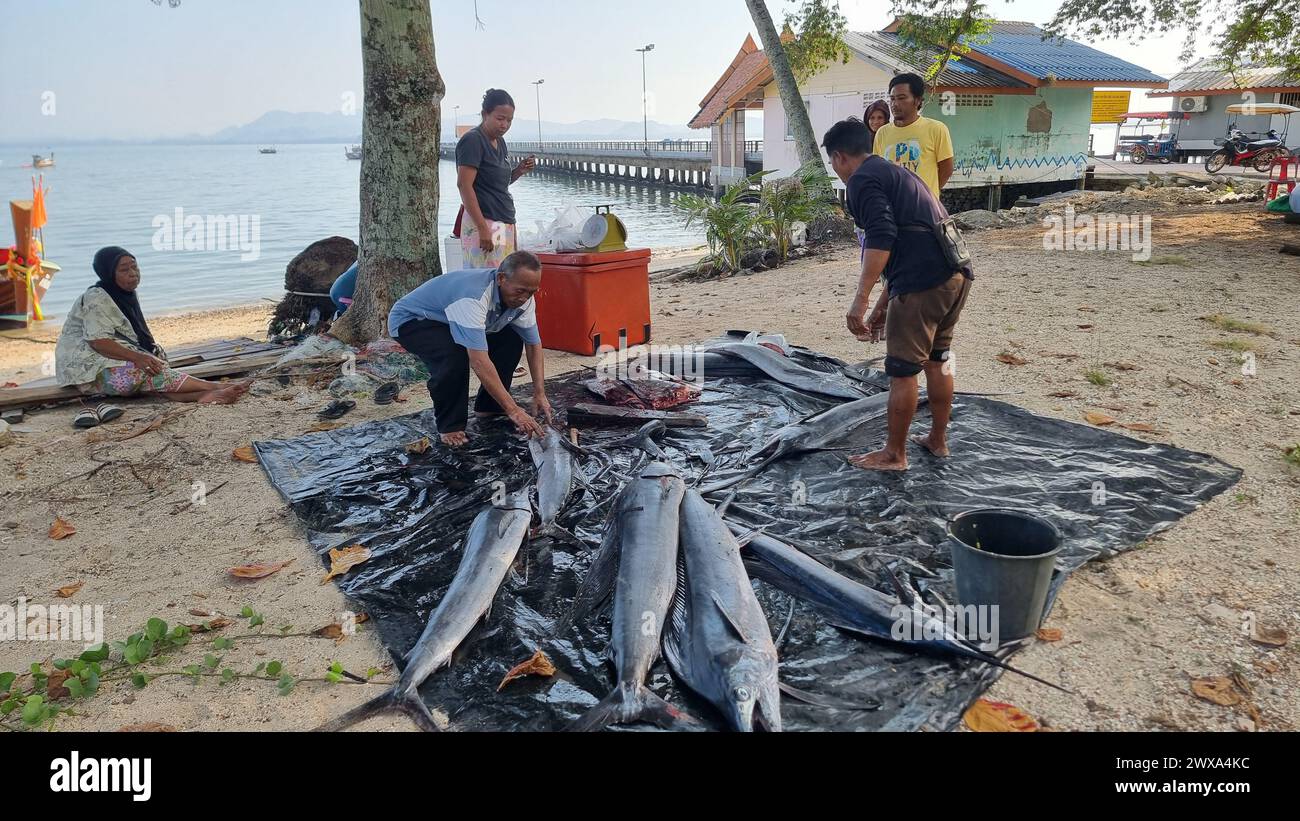 Koh Mook Thailand 20 January 2024, A diverse group of people surrounded ...