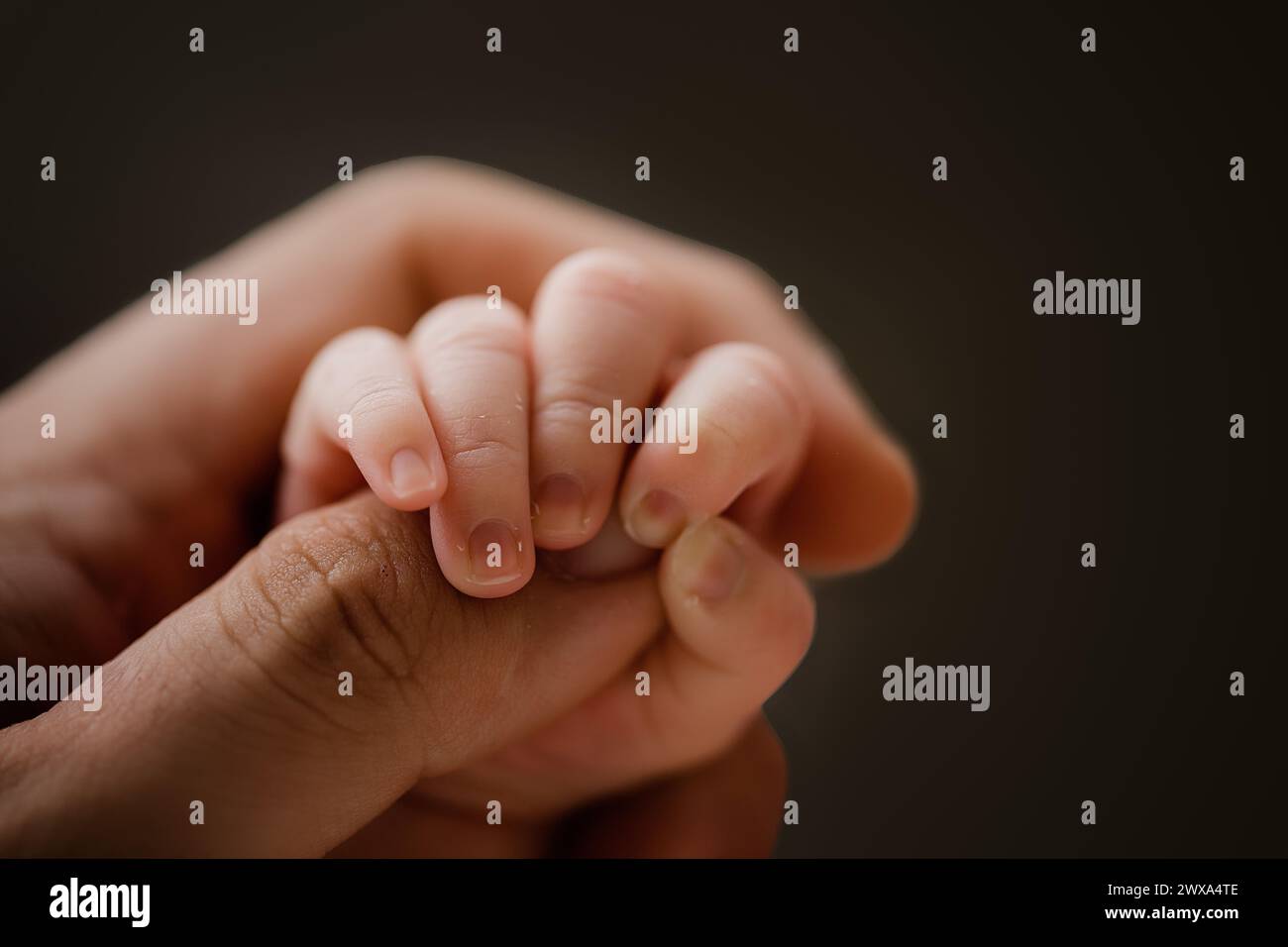 Newborn baby grasps finger hi-res stock photography and images - Alamy