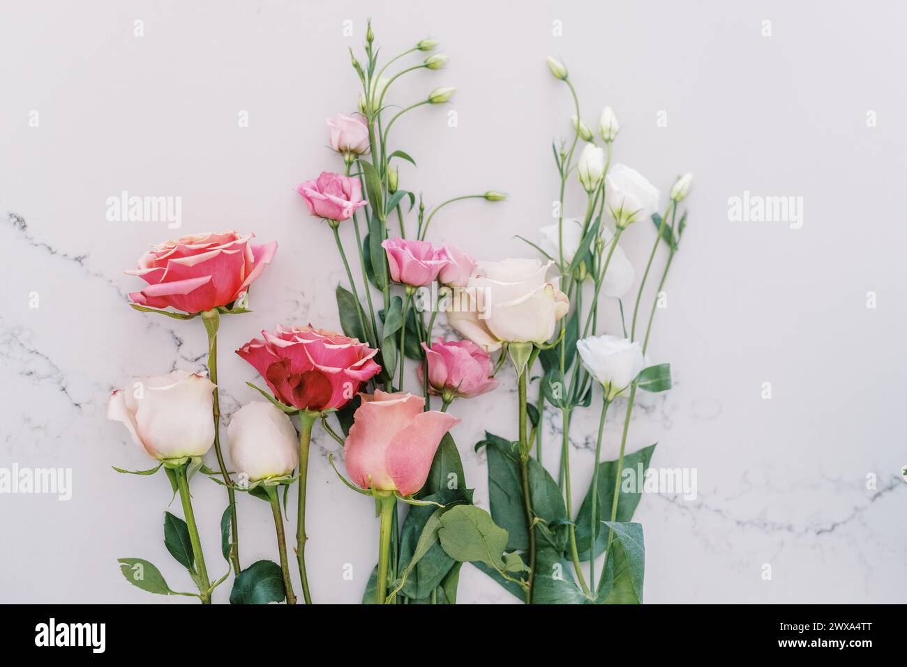 Assorted roses on marble, elegance in bloom Stock Photo - Alamy