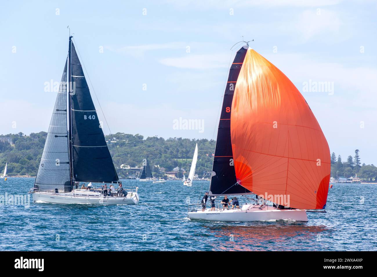 Yachts racing in Sydney Harbour, North Sydney, Sydney, New South Wales ...