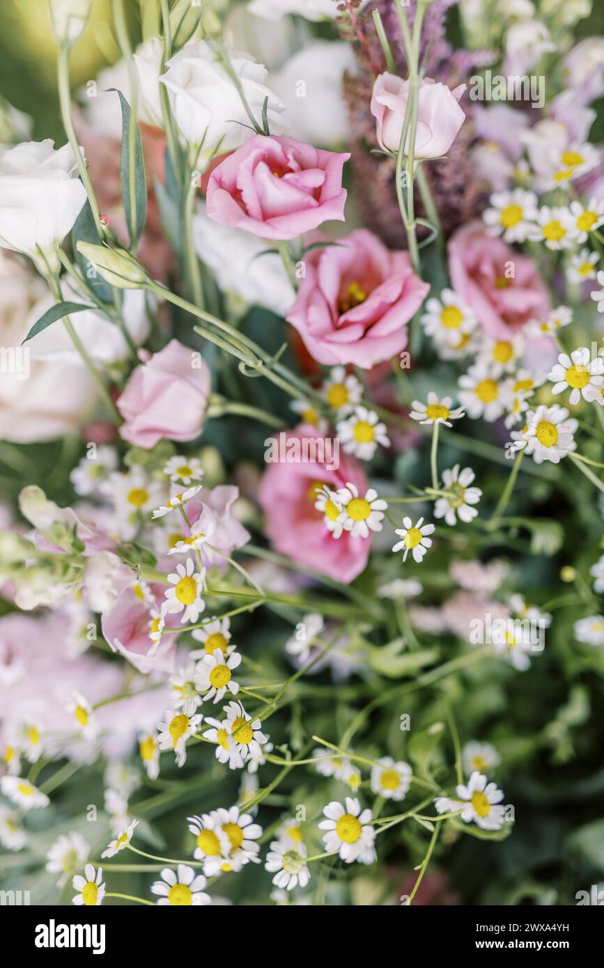 Mixed spring wildflowers hi-res stock photography and images - Alamy