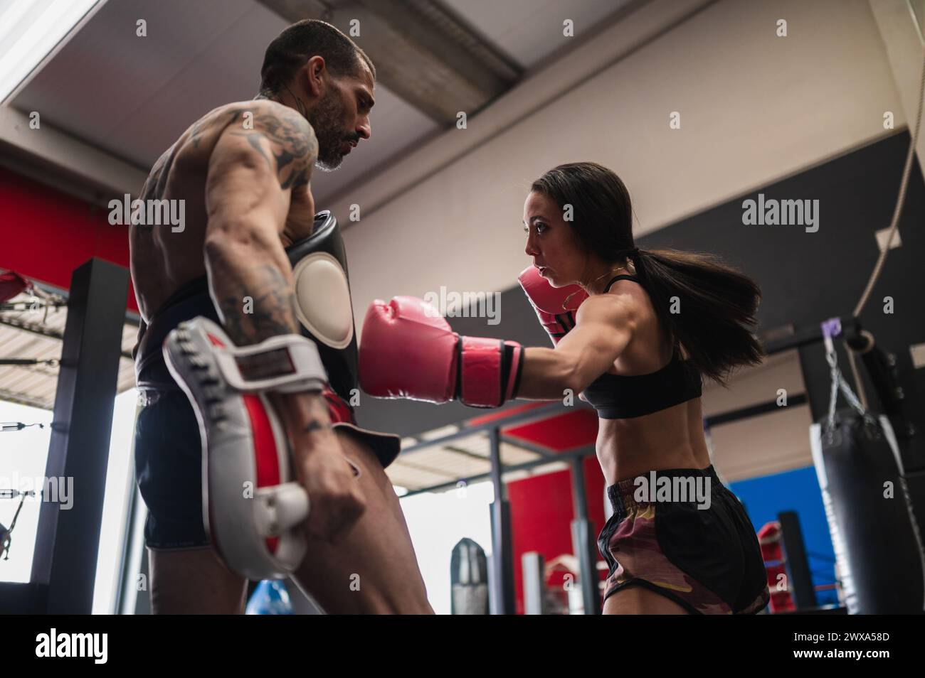 Female kickboxer punching coach during sparring session Stock Photo - Alamy