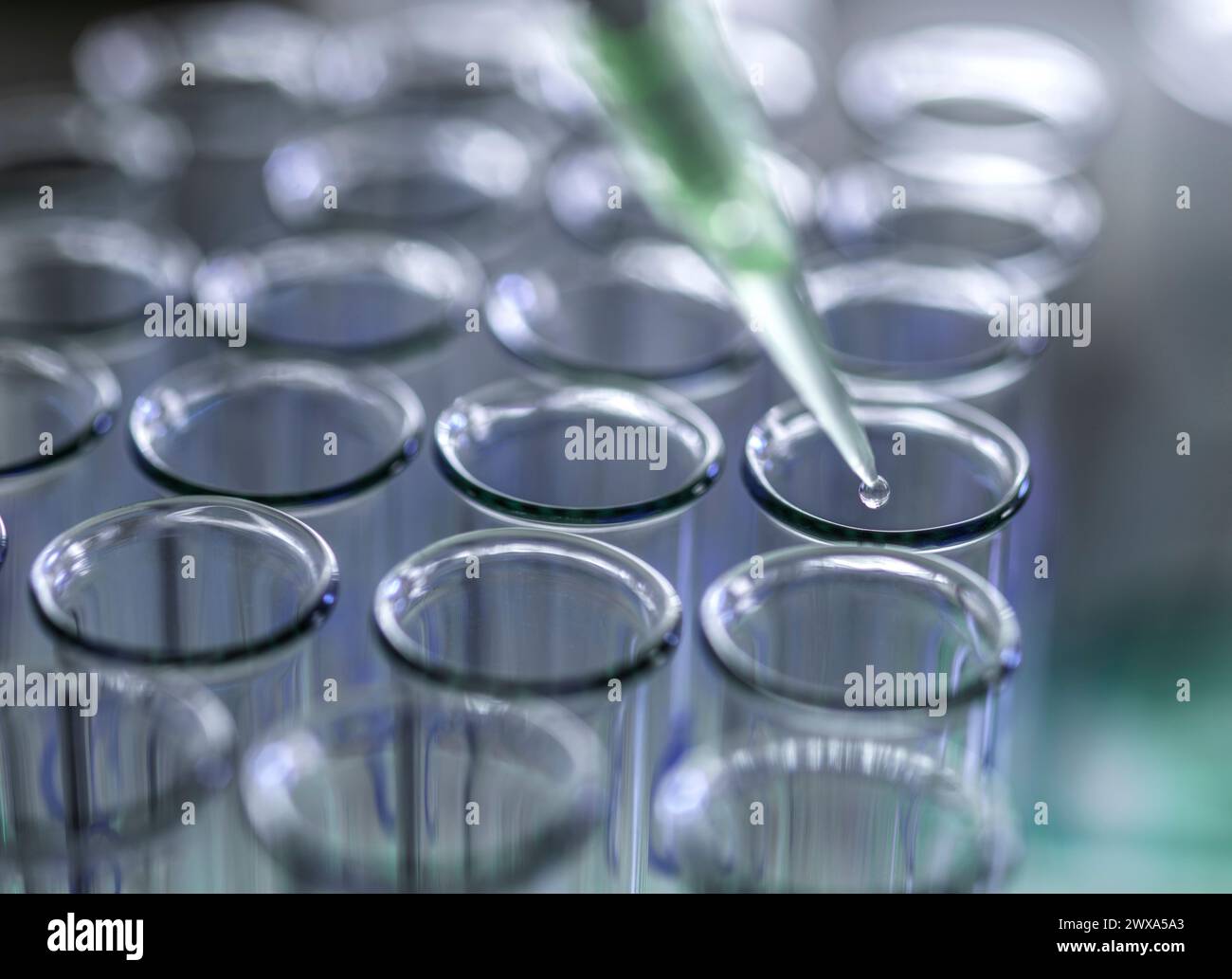 Biotechnology, Pipetting samples into test tubes for analysis Stock ...