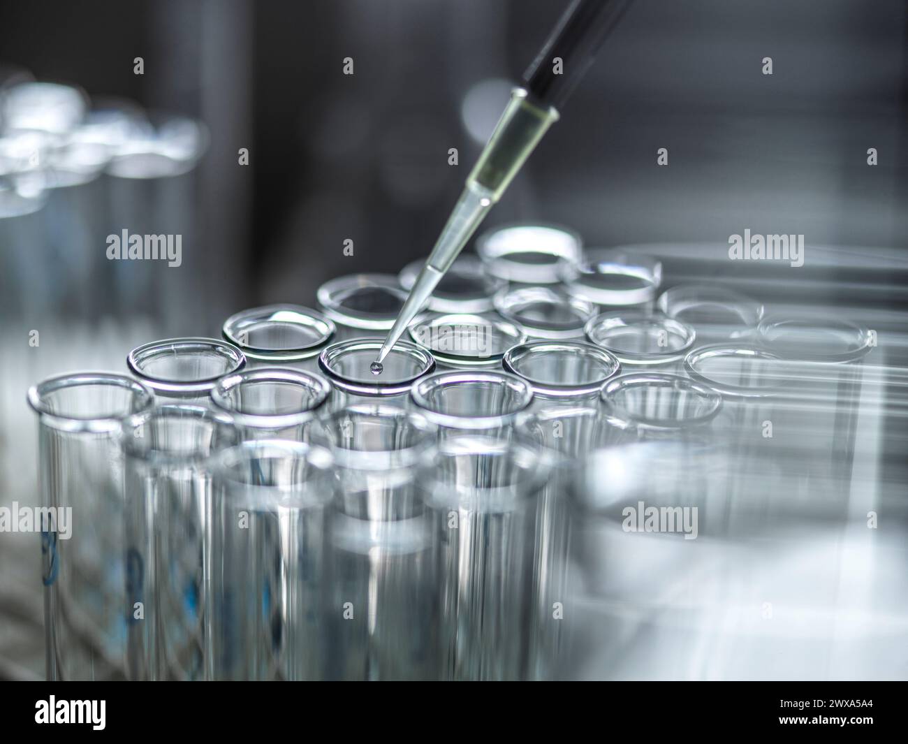 Biotechnology, Pipetting samples into test tubes for analysis Stock ...