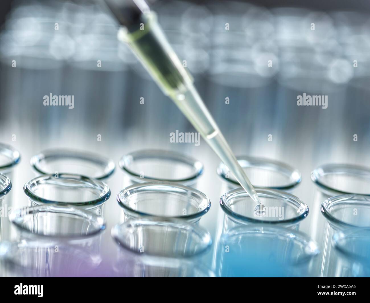 Biotechnology, Pipetting samples into test tubes for analysis Stock ...