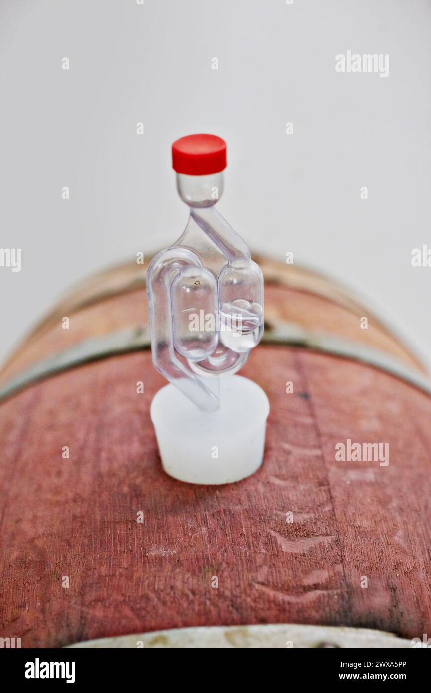 Barrel, distillery and craft beer with fermentation at brewery in ...