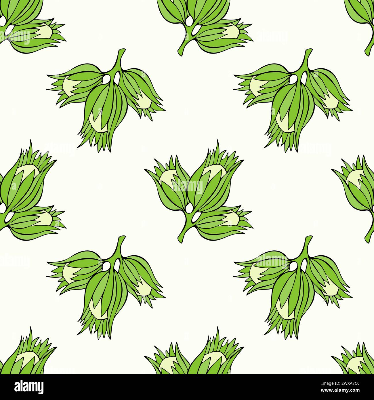 Pattern hazelnut not ripe, hand drawn green sketch. Vector illustration ...