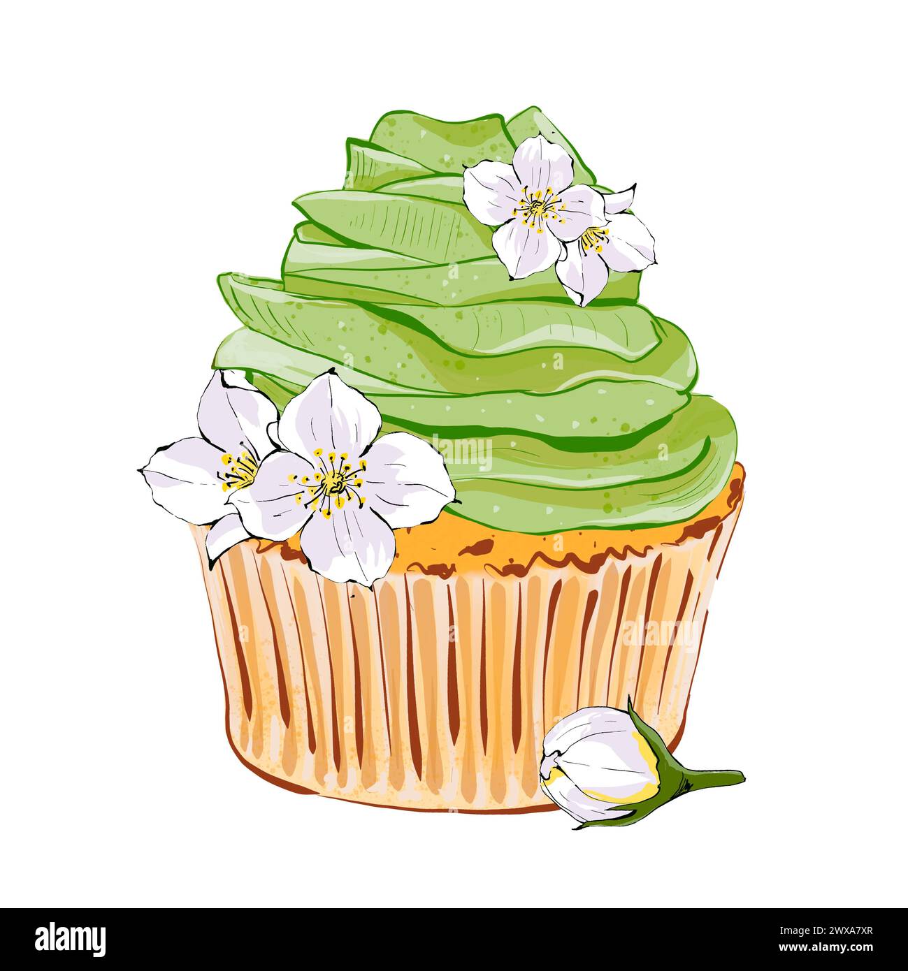Festive cupcake with cream. Realistic style. Hand drawn illustration ...