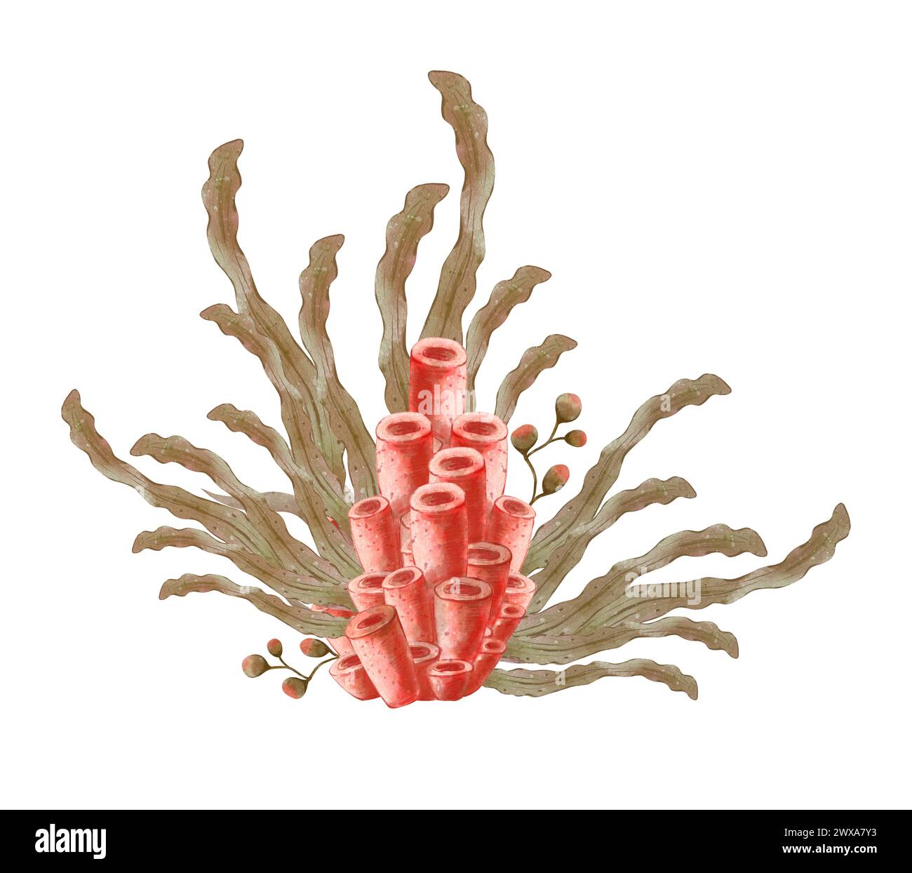 Bush reef Cut Out Stock Images & Pictures - Alamy