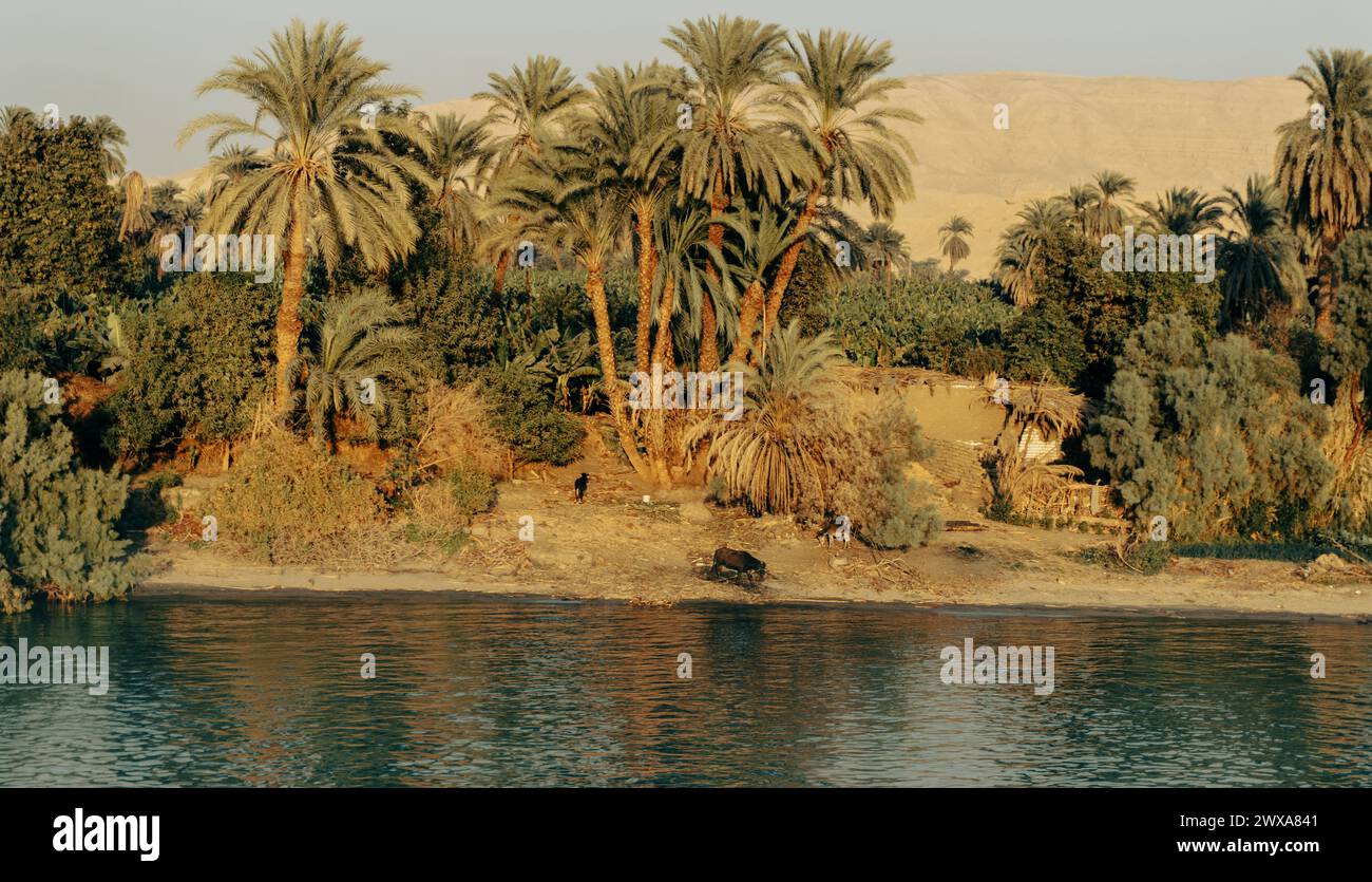 Sunlight oasis egypt idyllic nile hi-res stock photography and images ...