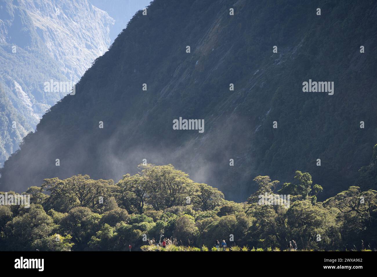 Tourists walking trough wet rainforest with haze rising in background ...