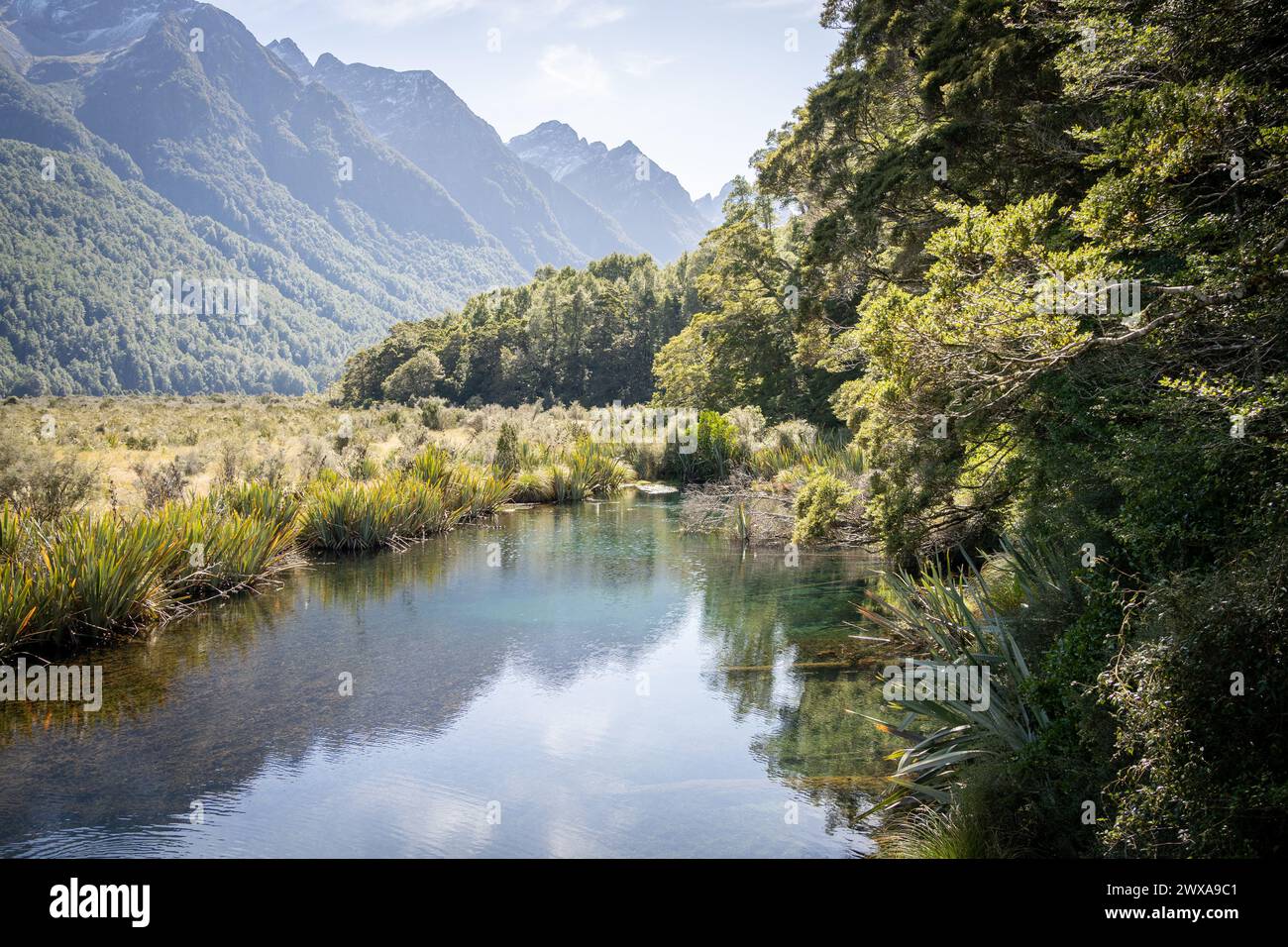 Beautiful crystal clear lake in exotic forest with mountains in ...