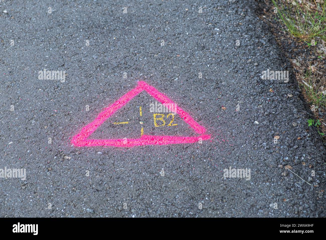 topography marking painted on a road, pink geodetic mark on the asphalt ...