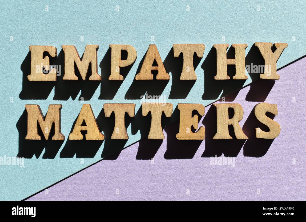 Empathy Matters, words in wooden alphabet letters isolated on ...