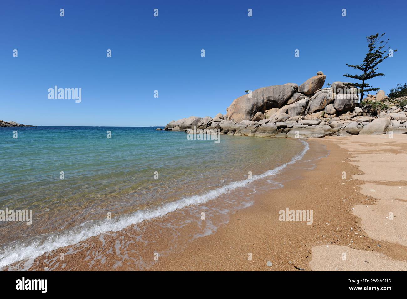 Beach at Arthur Bay with granite rocks and Hoop Pine typical of ...