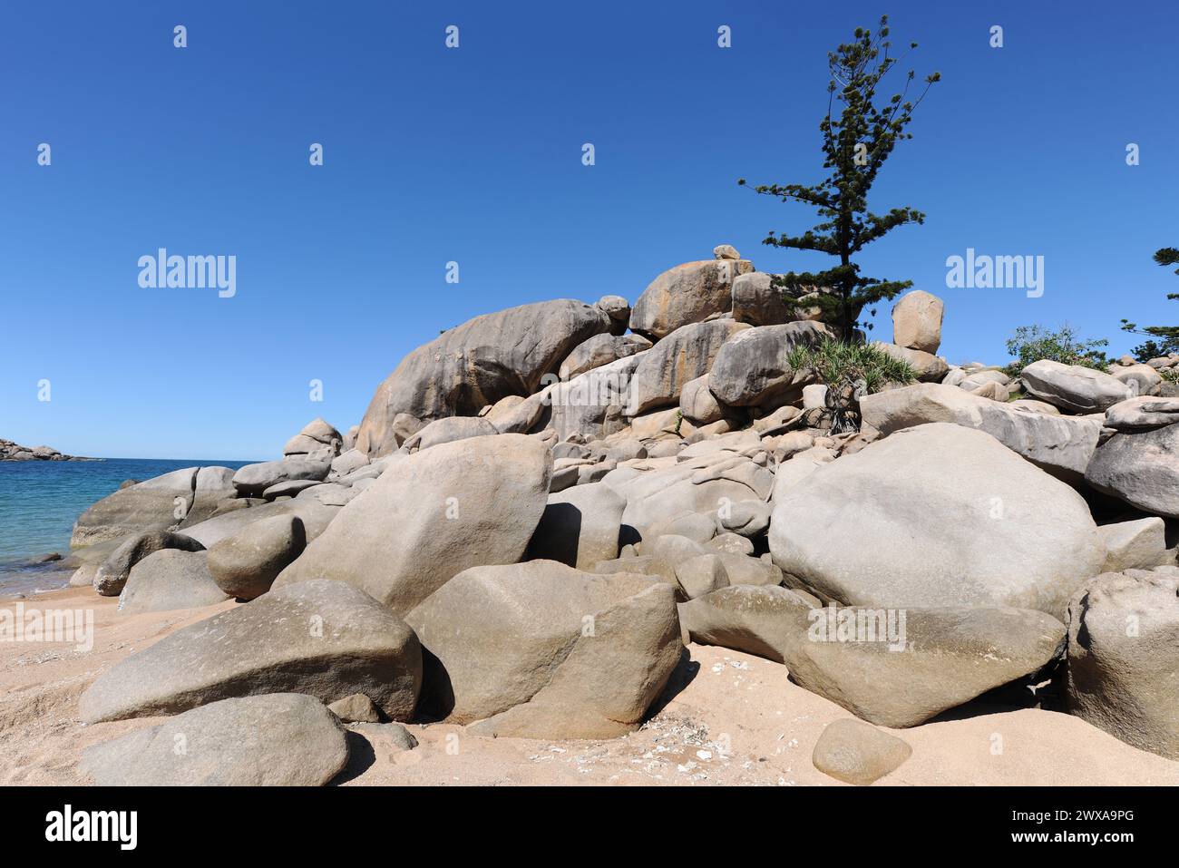 Arthur Bay beach scene with granite rocks under clear blue sky, typical ...