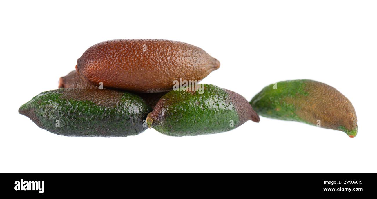 Fresh finger limes isolated on white background. Caviar lime. Fruits ...