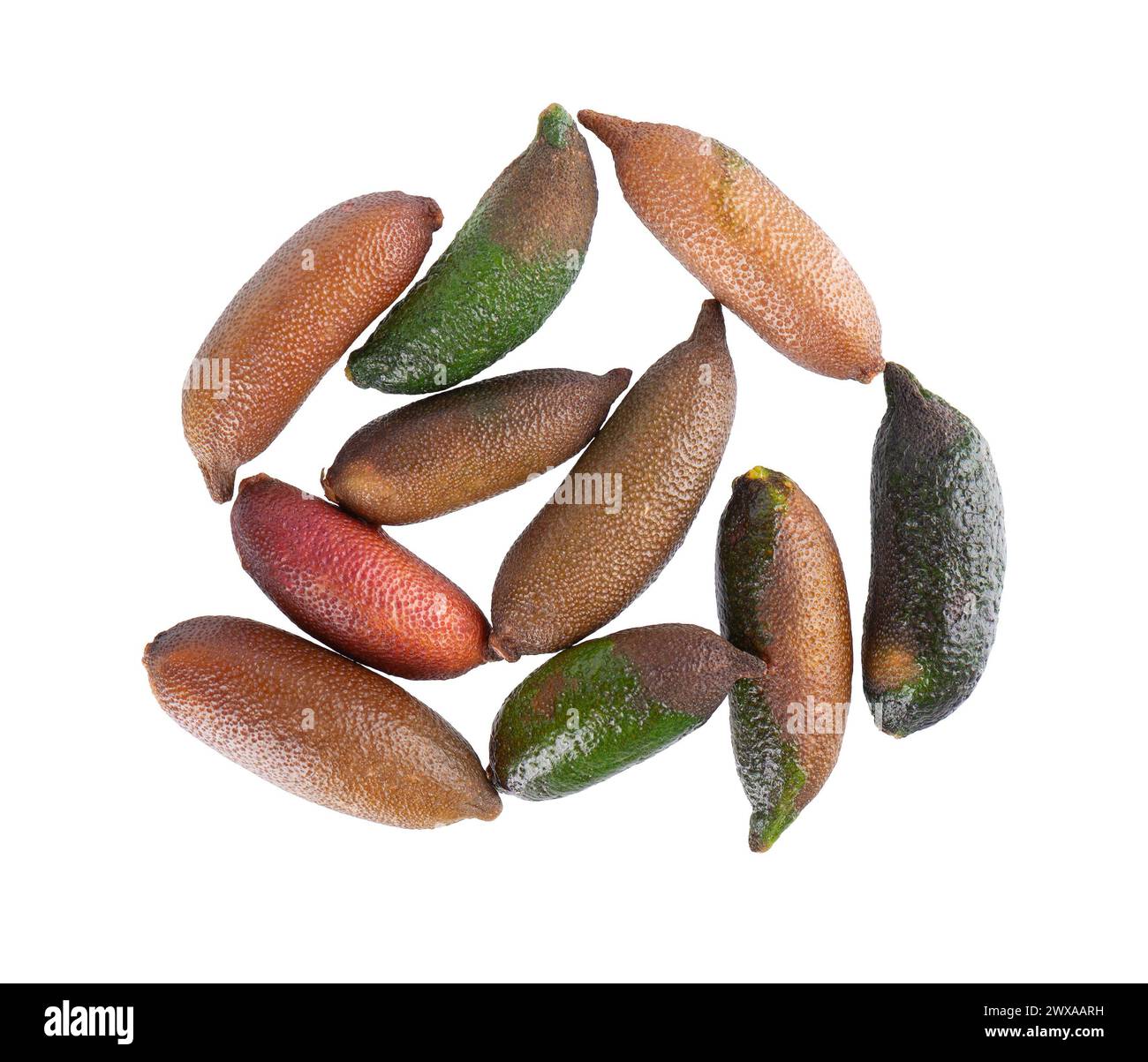 Fresh finger limes isolated on white background. Caviar lime. Fruits ...