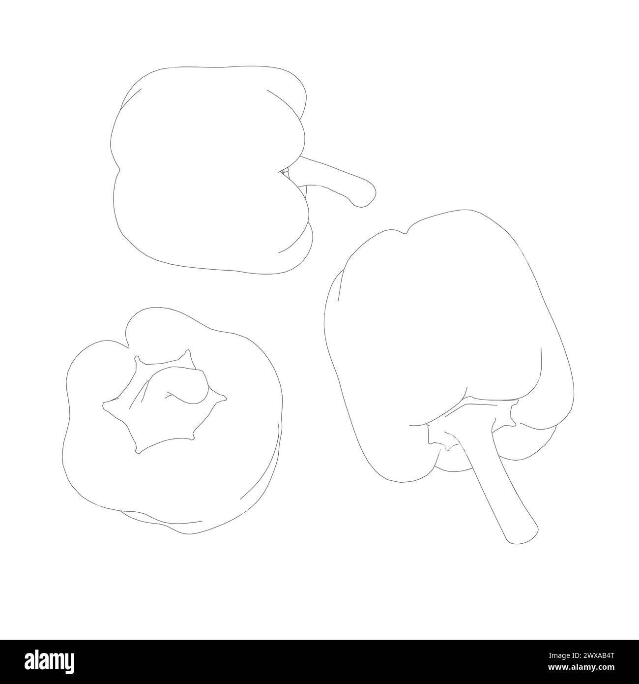 Set of Pepper logo template icon vector illustration. Black and white ...