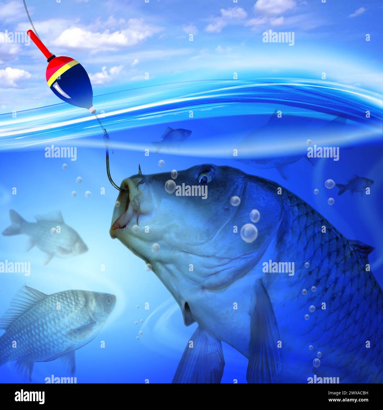 Fishing, fish in deep blue water lake poster Stock Photo - Alamy