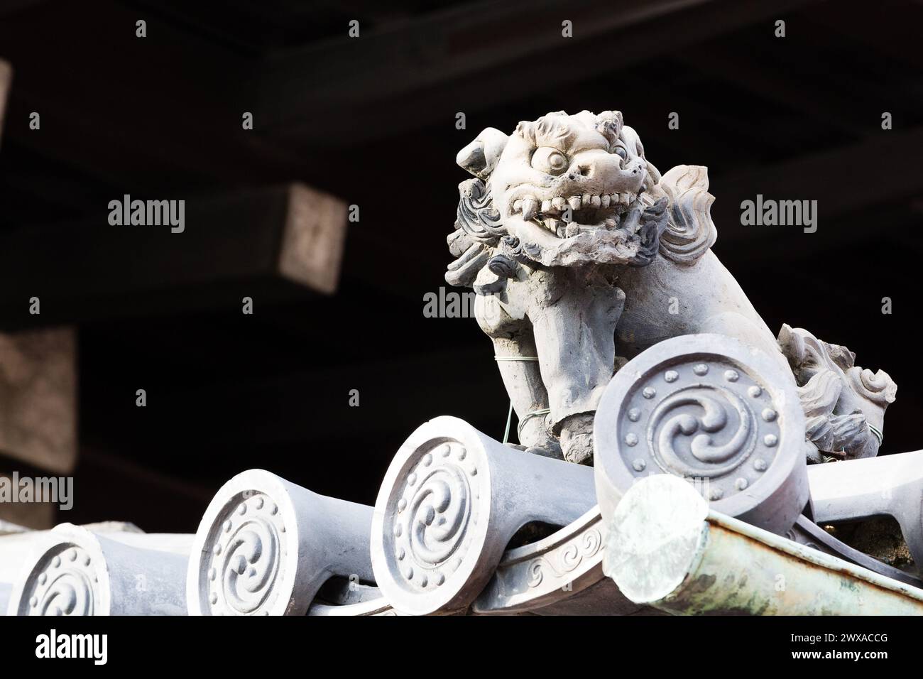 Kyoto Temple Lion Watching Over at Kyoto Shrine Stock Photo - Alamy