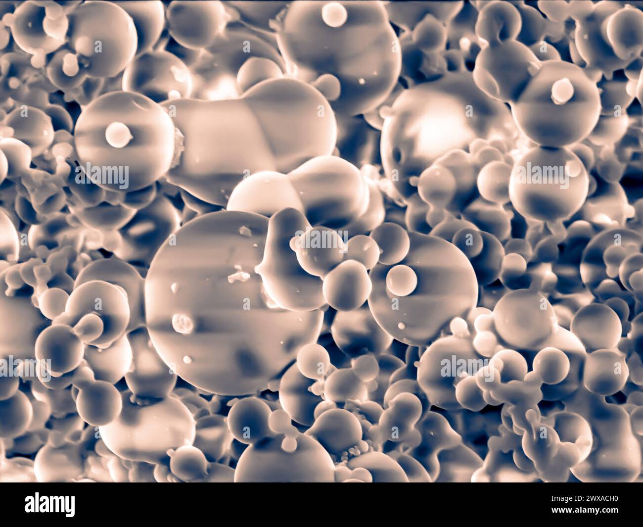 Silica granules photographed with the electron microscope Stock Photo ...