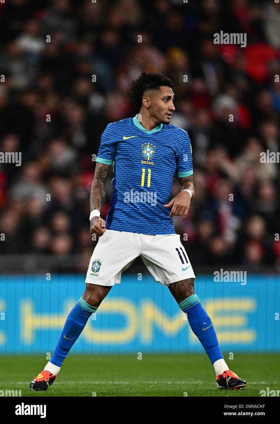 Brazil soccer copa america 2024 hi-res stock photography and images - Alamy