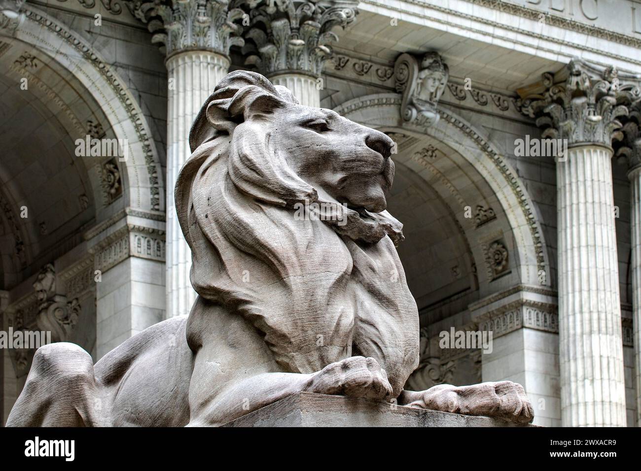 A lion at the entrance and guarding the public library of New York is ...