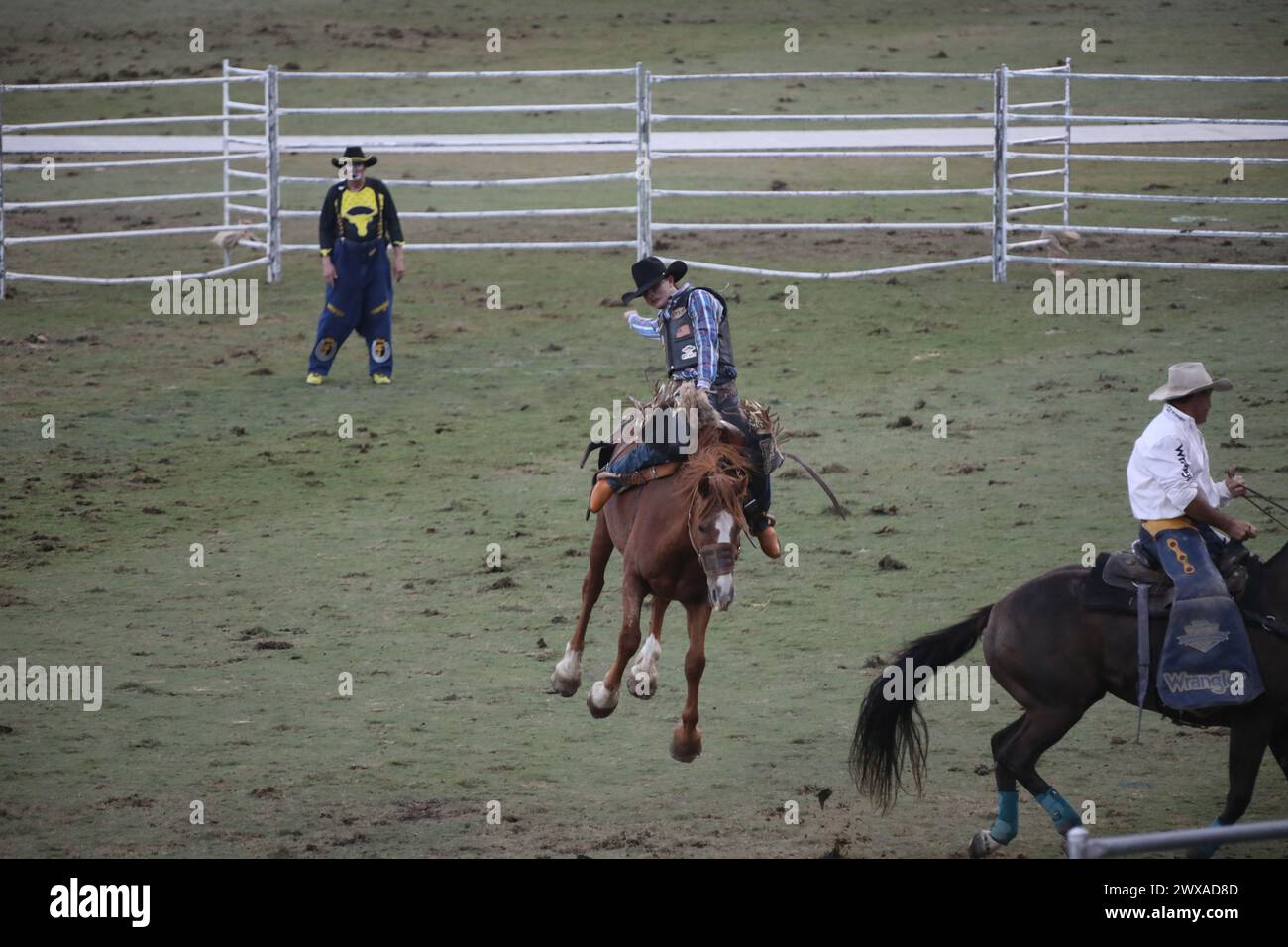 Sydney, Australia. Friday, 29th March 2024. The Sydney Royal Easter ...