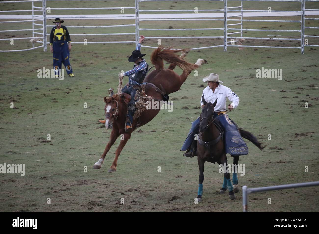 Sydney, Australia. Friday, 29th March 2024. The Sydney Royal Easter ...