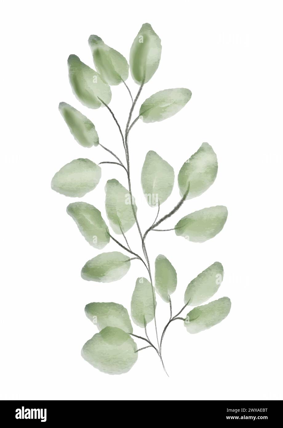 Delicate hand painted watercolour leaves design Stock Vector Image ...