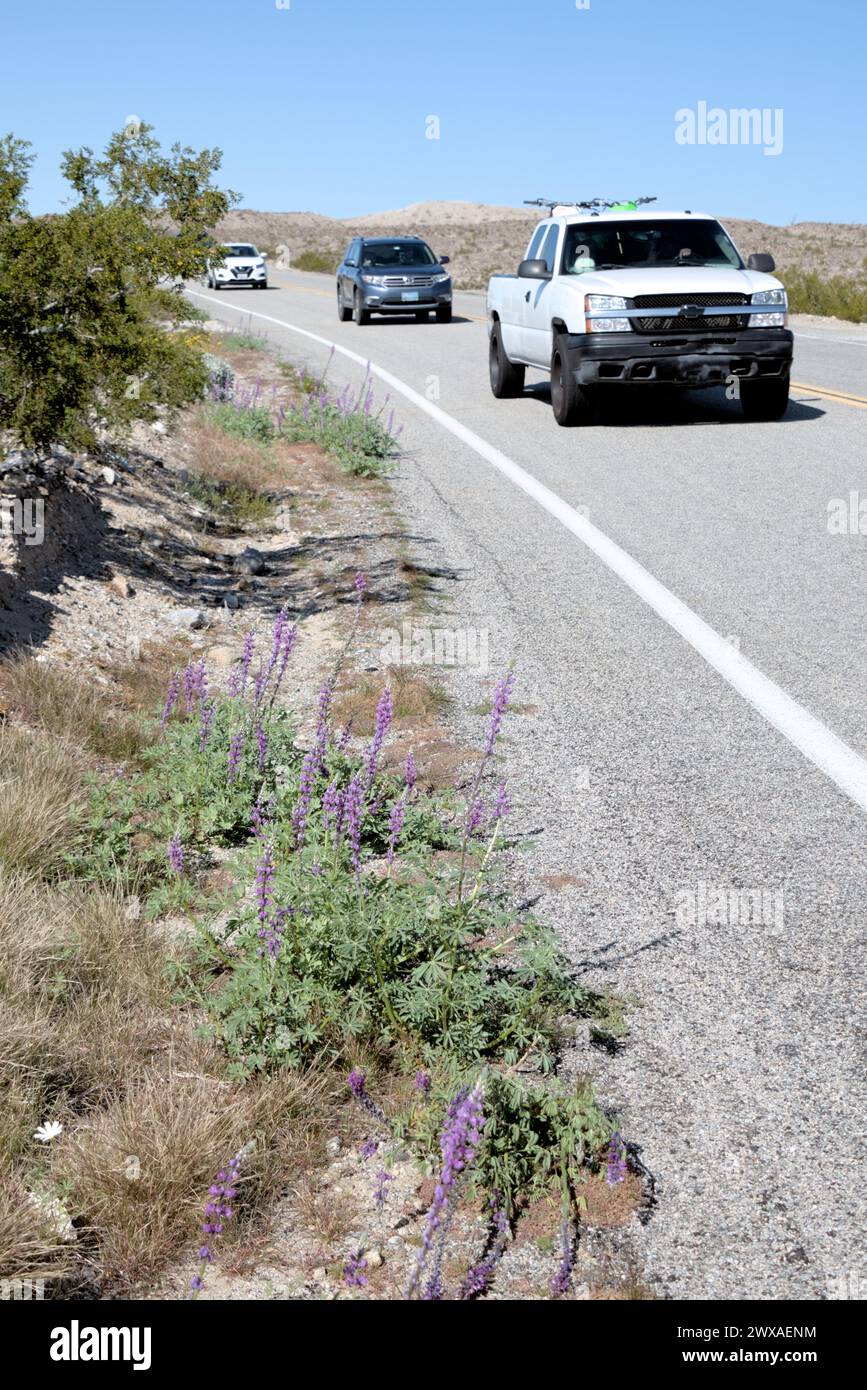 Cars driving through Anza-Borrego state park in California Stock Photo ...