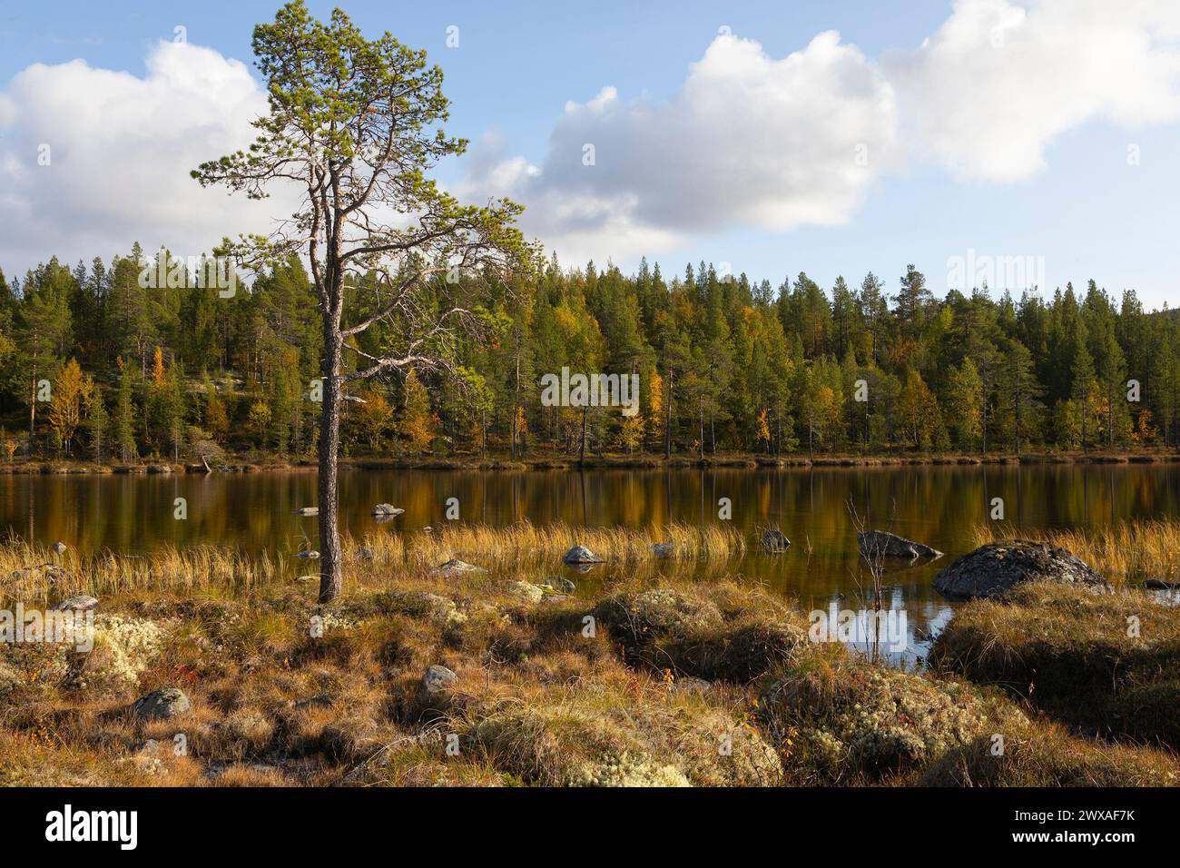 Tundra lapland aerial hi-res stock photography and images - Alamy