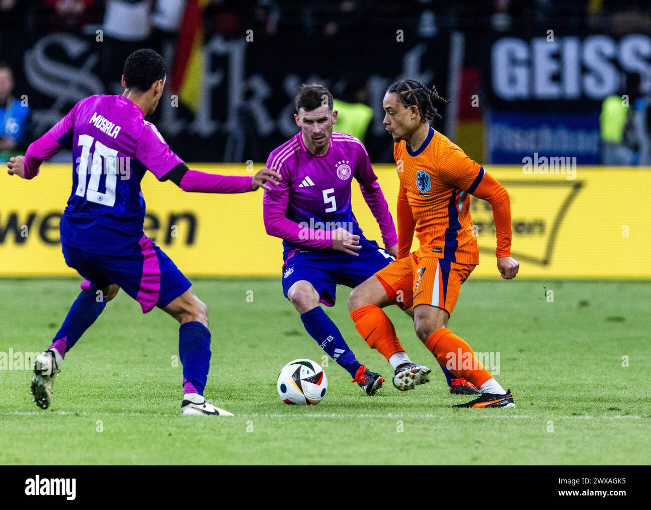Frankfurt, Deutsche Bank Park, 26.03.2024: Xavi Simons (Niederlande) (R ...