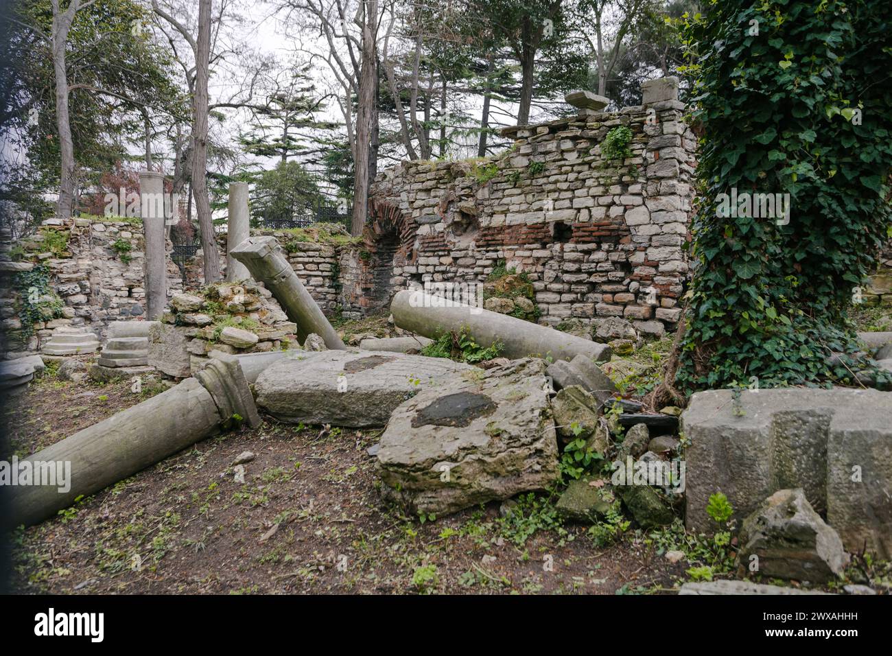 Amidst overgrown greenery hi-res stock photography and images - Alamy