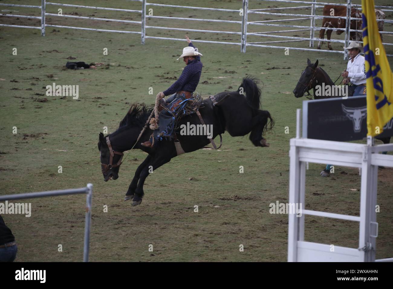 Sydney, Australia. Friday, 29th March 2024. The Sydney Royal Easter ...
