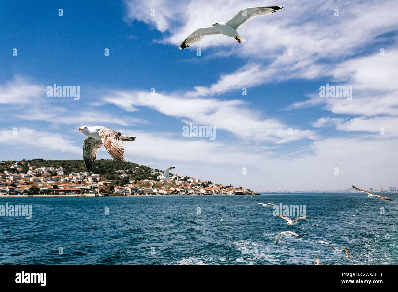 Scenic view of Istanbul skyline with historical mosque's minarets ...