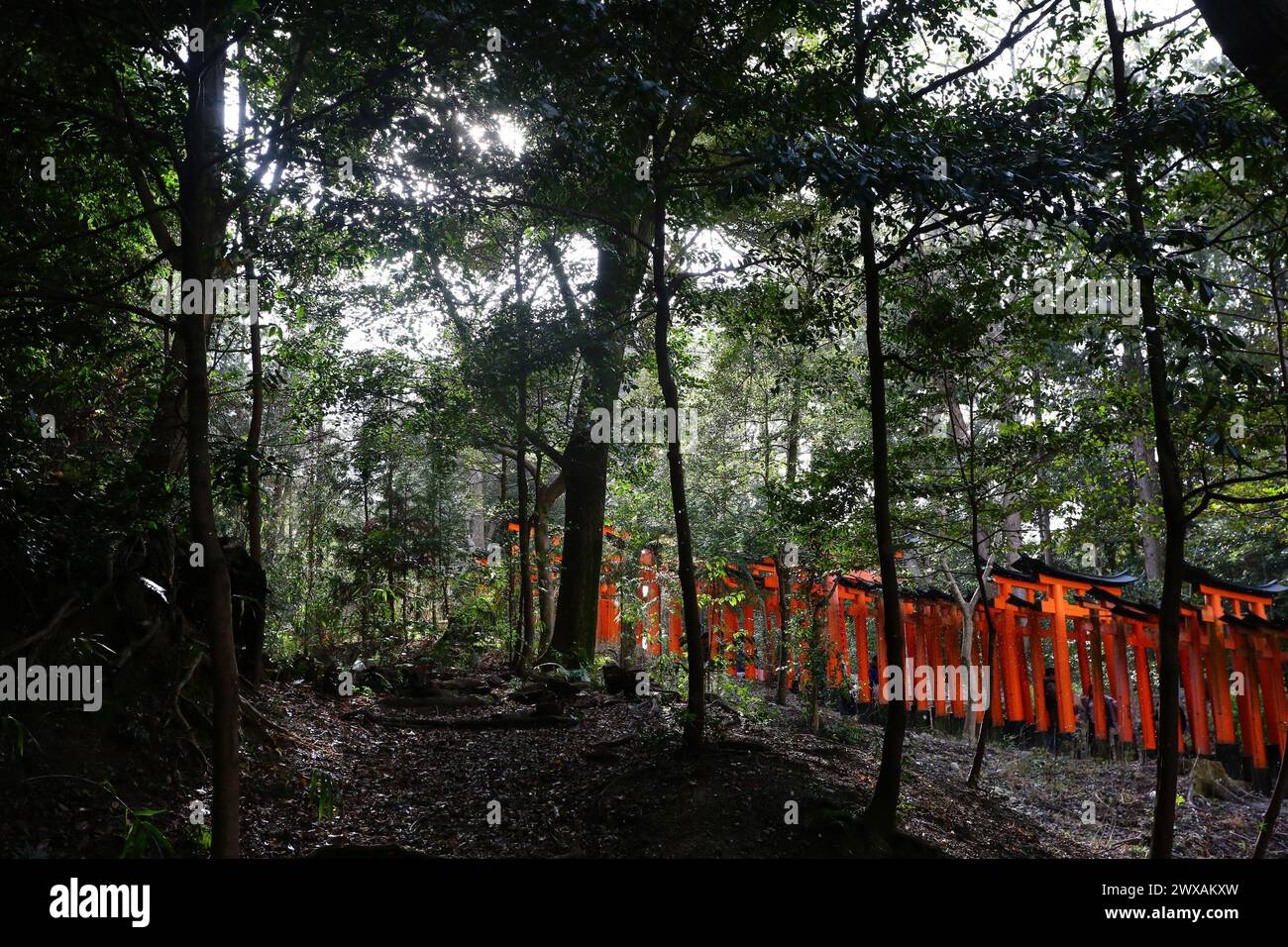 japan places as great destination for holidays Stock Photo - Alamy