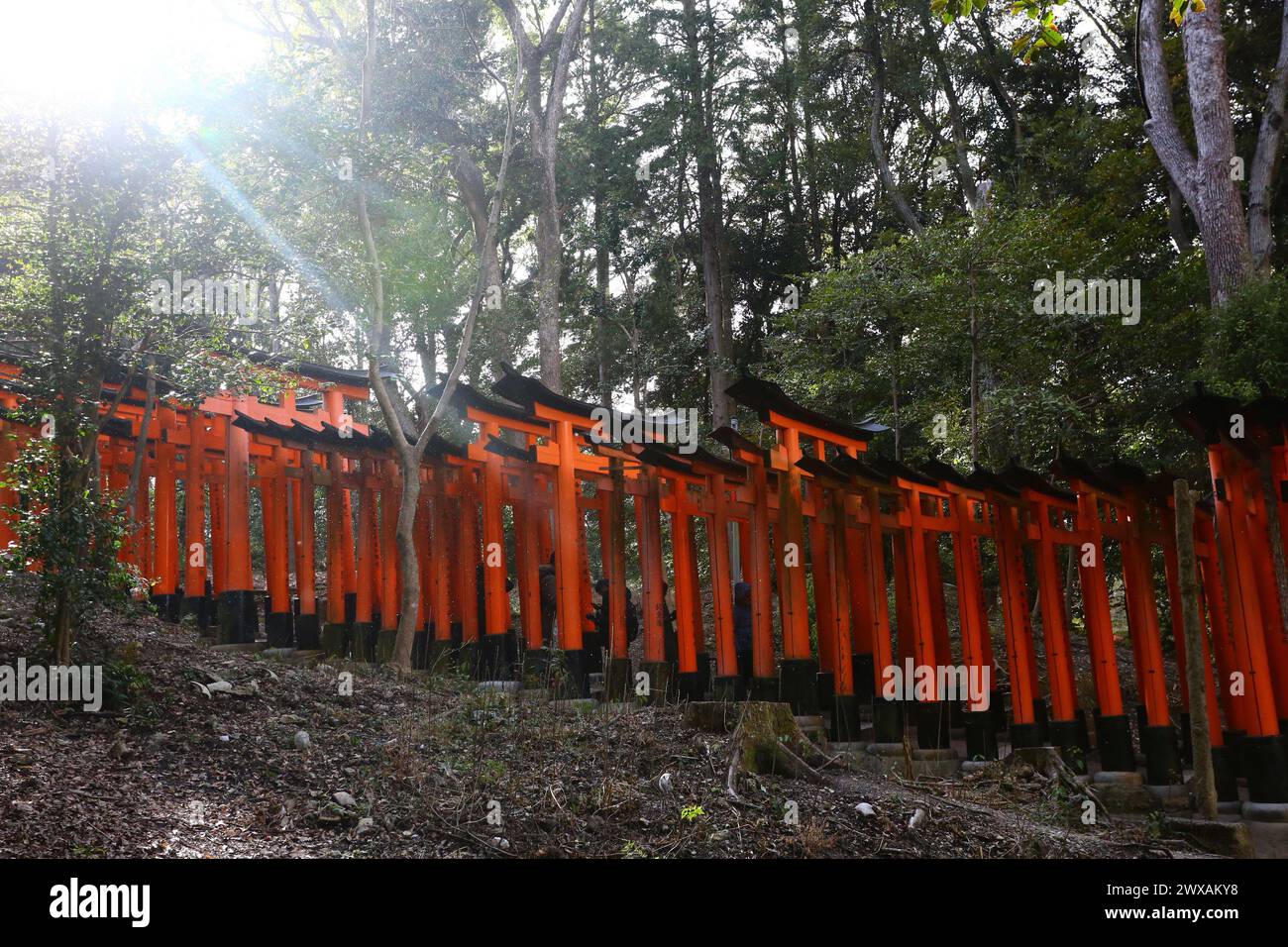 japan places as great destination for holidays Stock Photo - Alamy