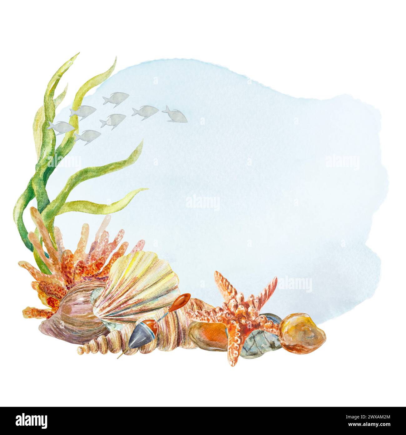Shells, corals, algae, starfish, stones. Bottom of the sea. Template ...