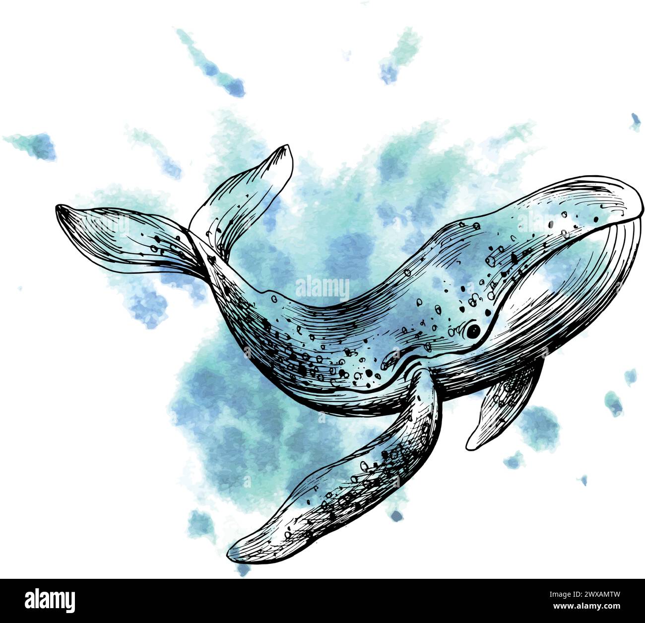 Underwater world clipart with sea animals whale, turtle, octopus ...