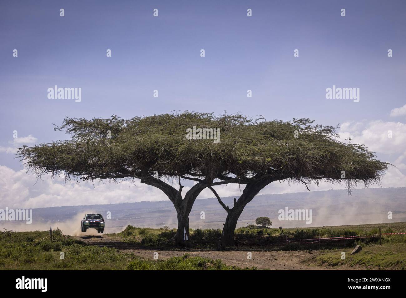 22 GREENSMITH Gus, ANDERSSON Jonas, Skoda Fabia RS Rally2, actionduring ...