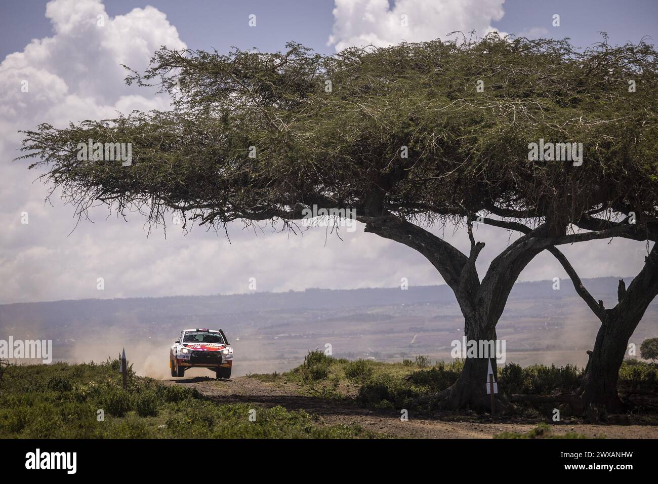 31 Miguel DIAZ ABOITIZ, Rodrigo SANJUAN, Skoda Fabia RS Rally2, actionduring the Safari Rally ...