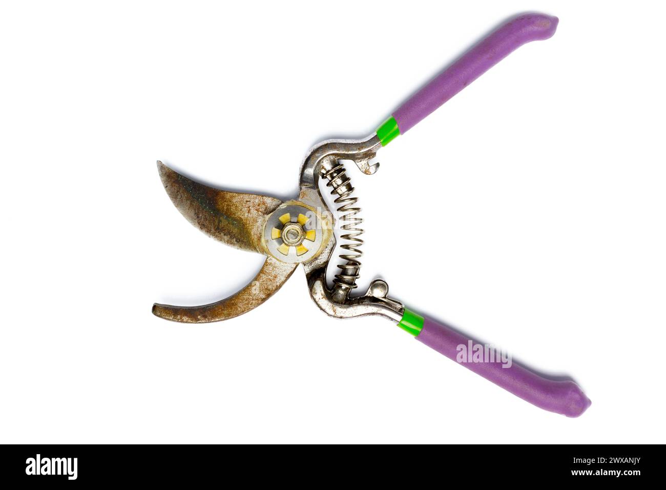 scissors garden tool on white background Stock Photo - Alamy