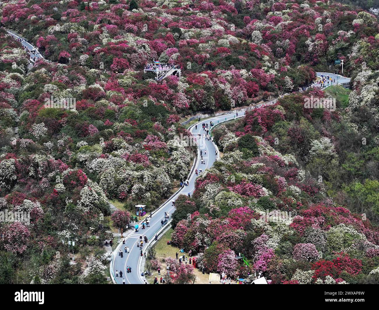 Bijie. 29th Mar, 2024. An aerial drone photo taken on March 29, 2024 ...