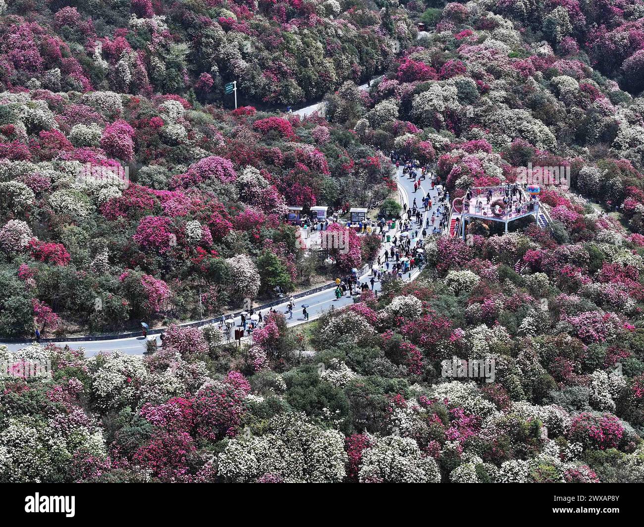 Baili hi-res stock photography and images - Alamy