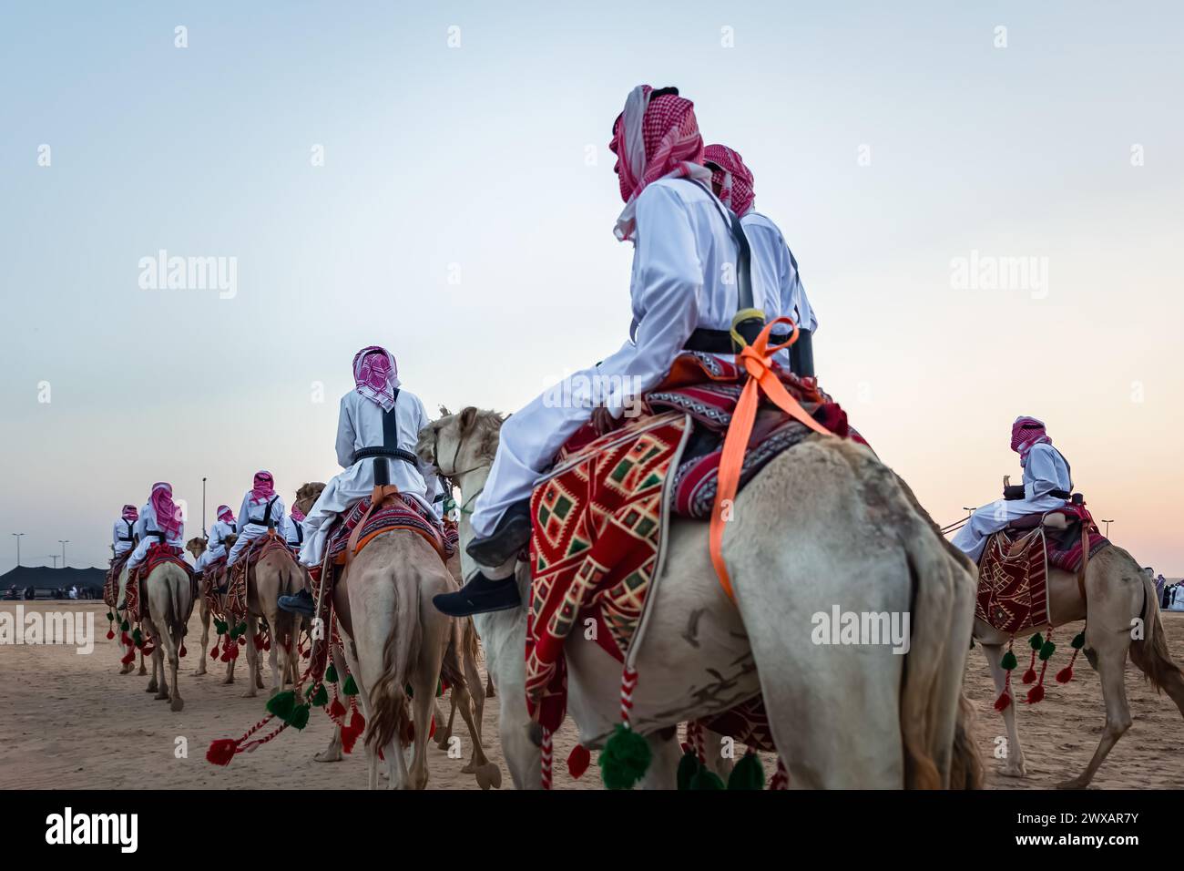 Desert safari camel ride festival in Abqaiq Dammam Saudi Arabia Stock ...