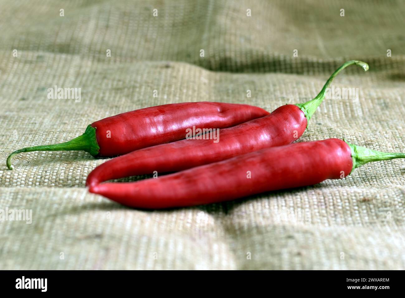 In the picture, three red chili peppers lie on a rough cloth Stock ...